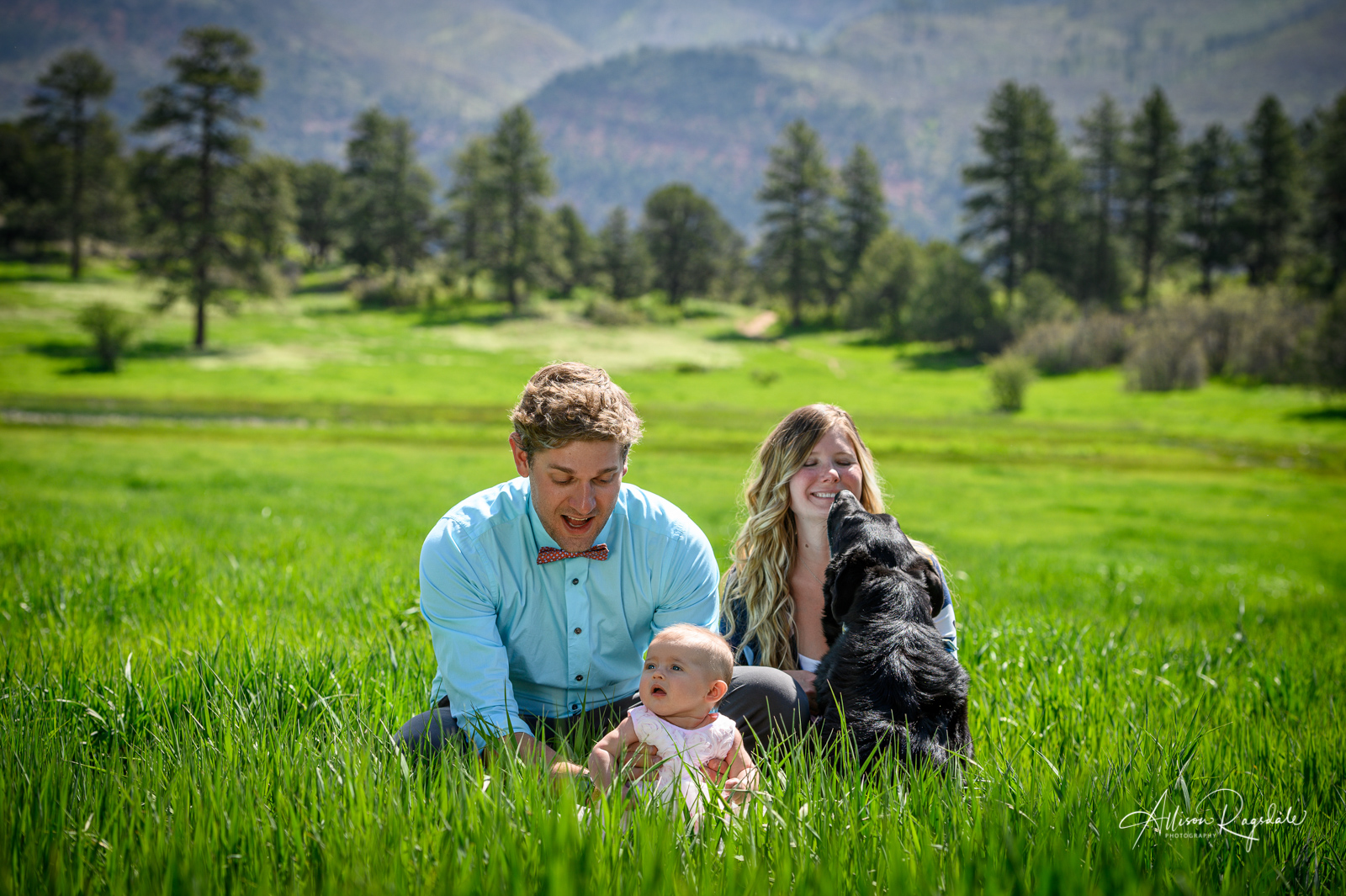 Mace Family Photos in Durango, Colorado - Durango Wedding and Family ...