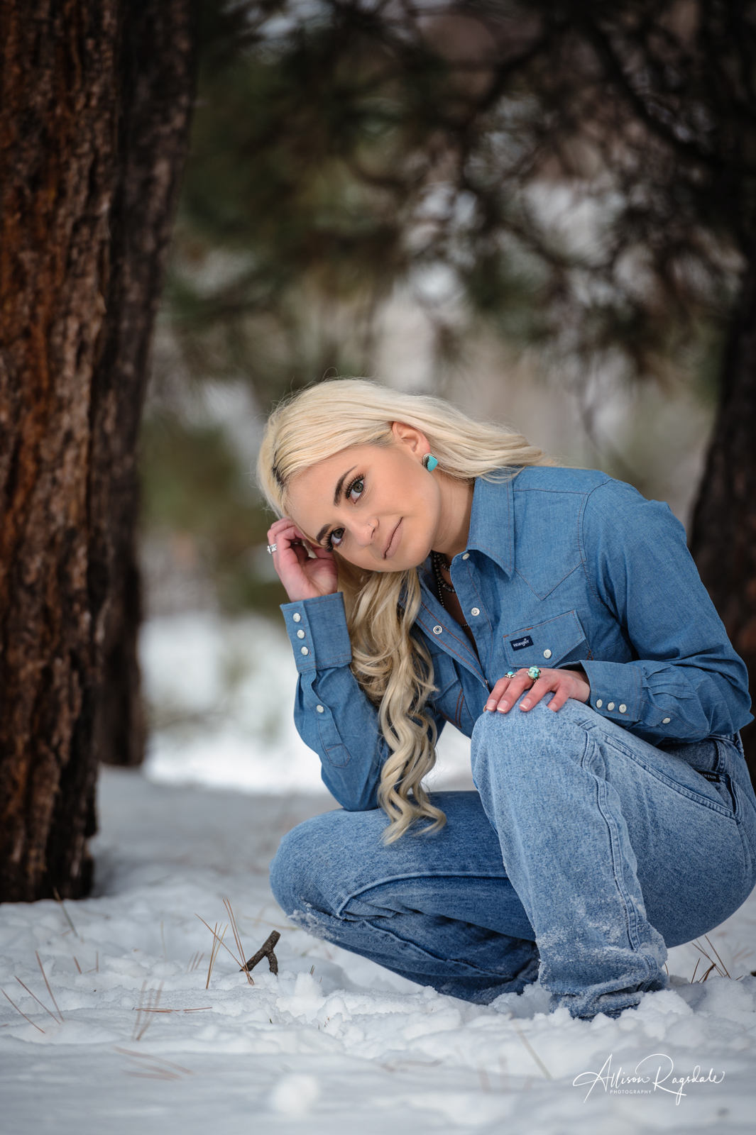 Sotelo Family Colorado Winter Forest Photoshoot - Durango Wedding and ...